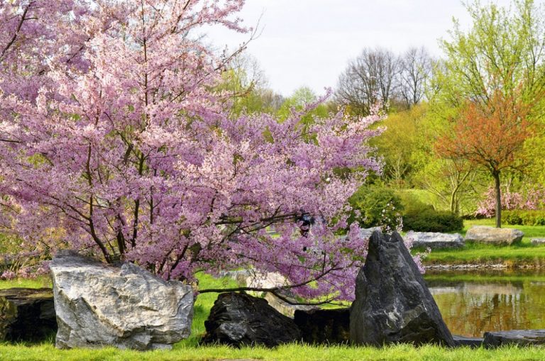 15 Stunning Places That Become Even More Beautiful In Spring