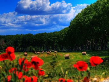 15 Stunning Places That Become Even More Beautiful In Spring