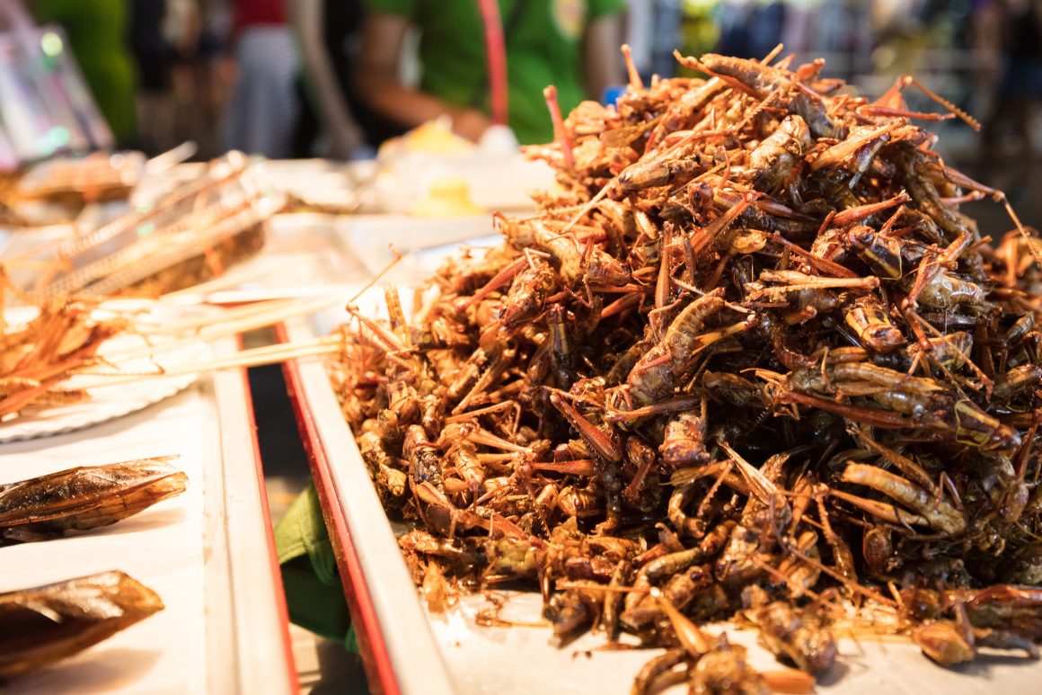 10 Weird Foods In Thailand To Try...If You Dare