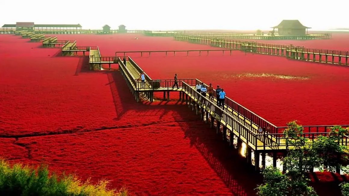 20 Must-Visit Places You'll Hardly Find In a Travel Guide