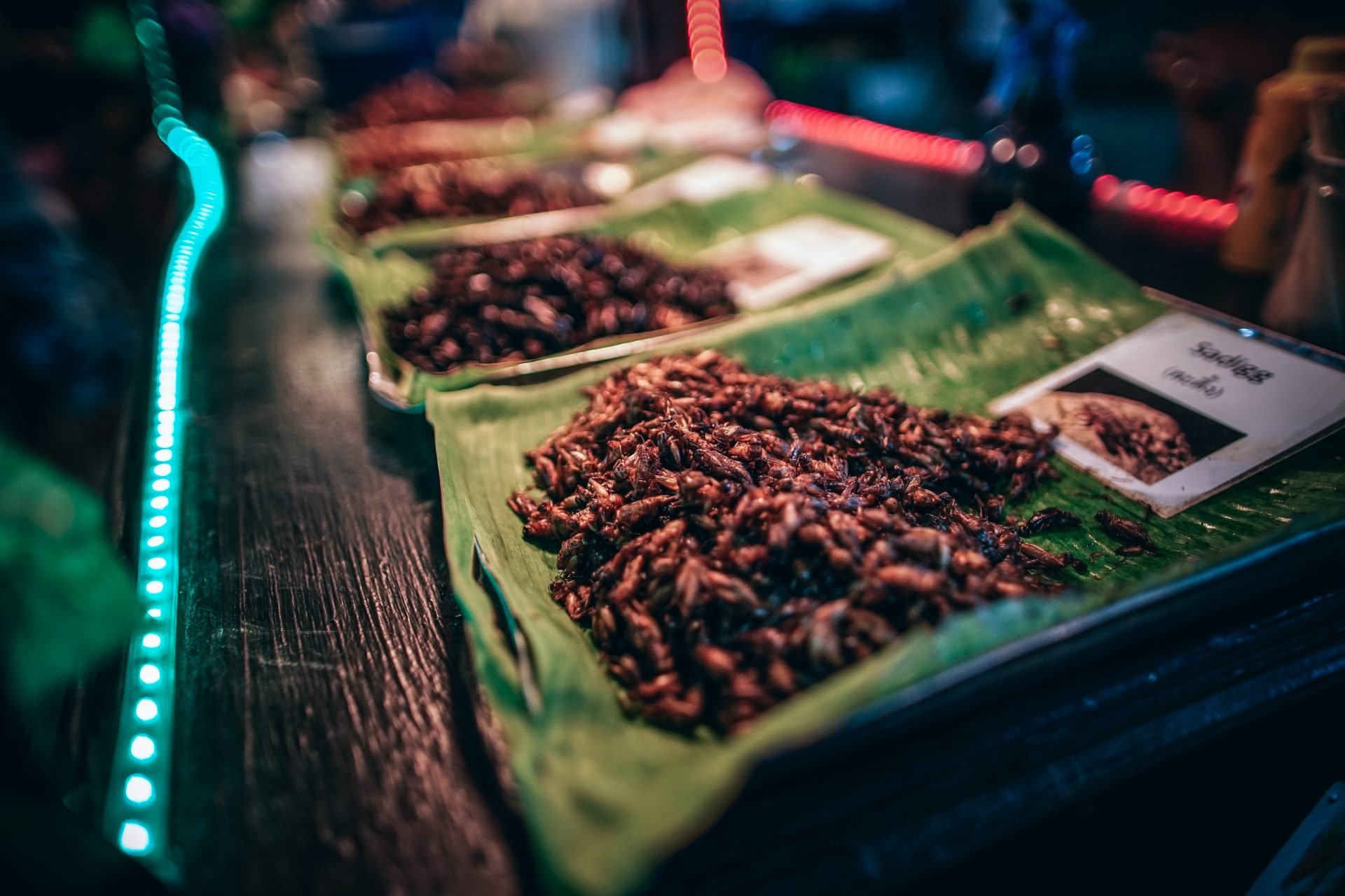 10 Weird Foods In Thailand To Try...If You Dare