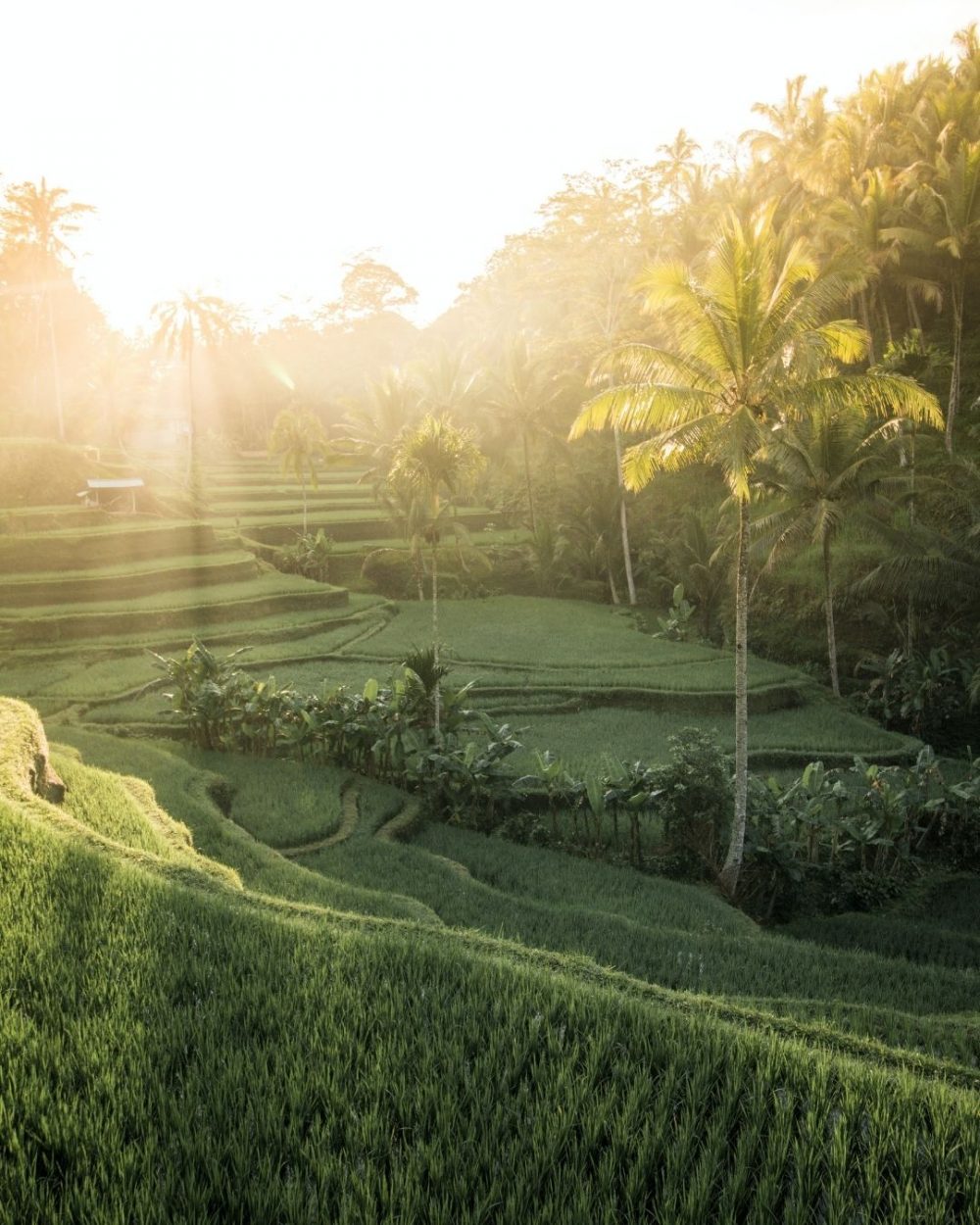 Top 15 Unbelievable Places You Must See in Bali