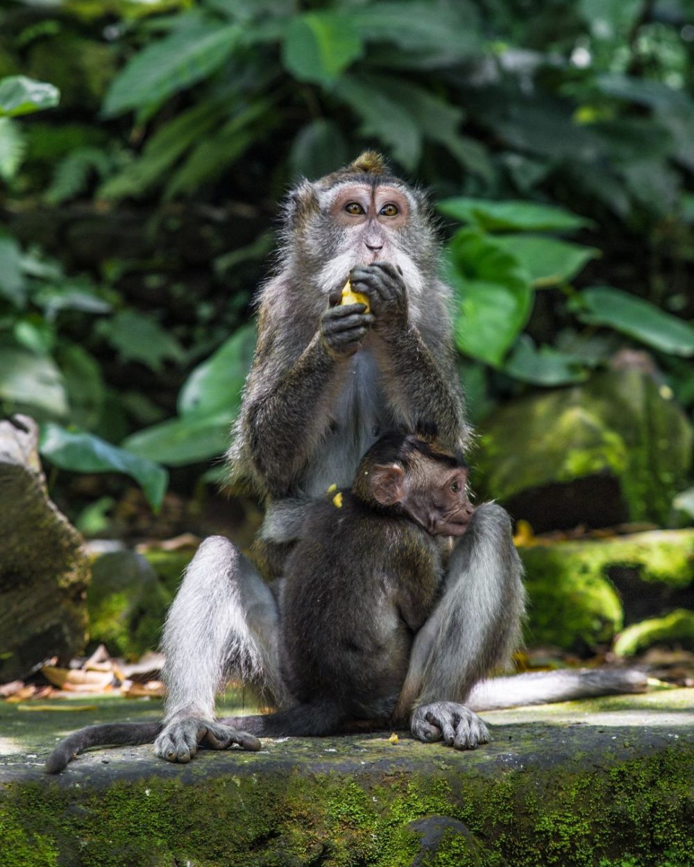 Top 15 Unbelievable Places You Must See in Bali
