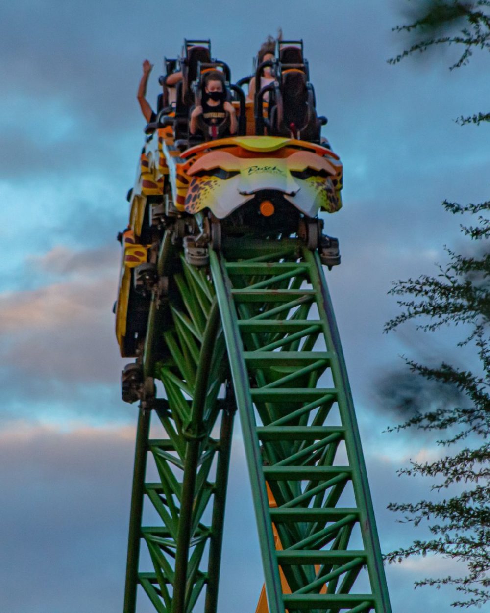 Top 10 Best Places to Visit in Florida For Your Unforgettable Vacation