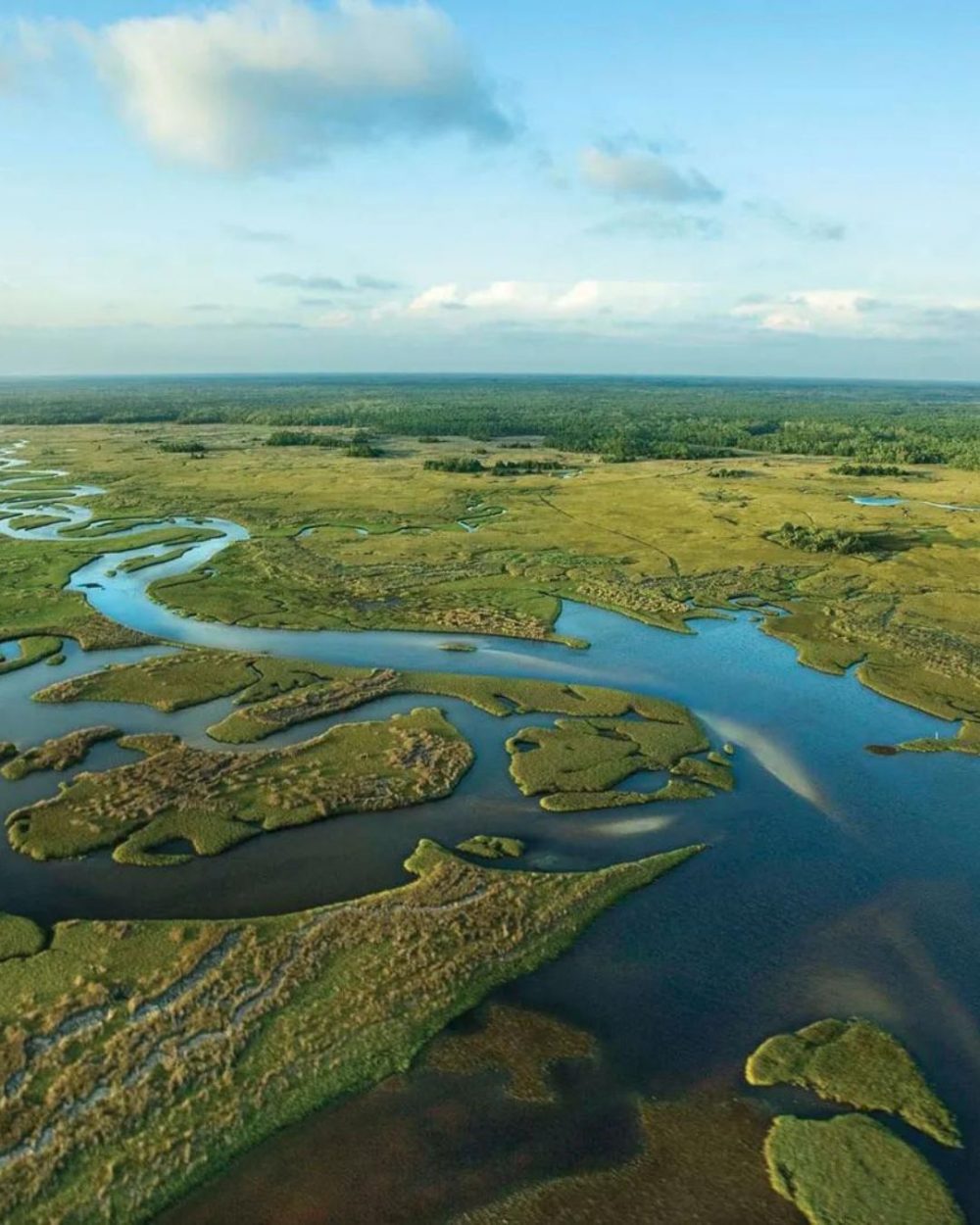 Top 10 Best Places to Visit in Florida For Your Unforgettable Vacation